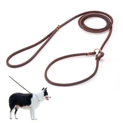 China Genuine Leather Dog Collar & Slip Lead Leash Set - 0.6cm Width, 150-180cm Length Options for Comfortable Control for sale