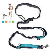 China Dual Handle Elastic Bungee Hands Free Dog Running Leash with Adjustable 160-260 cm Waist Belt for Active Owners for sale