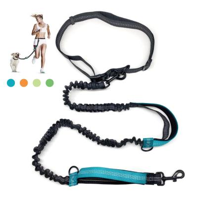 China Dual Handle Elastic Bungee Hands Free Dog Running Leash with Adjustable 160-260 cm Waist Belt for Active Owners for sale