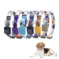China Nylon Pet Collar with Metal Buckle - Adjustable 20-65cm Sizes, Durable All-Season Dog Collar for sale