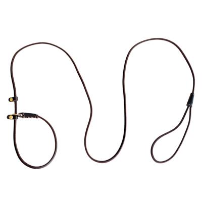China Genuine Leather Slip Lead for Small Medium Dogs - 0.6x175cm Adjustable Training Leash with No-Pull Design for sale