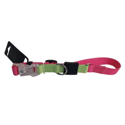 China Durable Nylon Pet Collar Adjustable 2cm-2.5cm Width 33cm-52cm Length for Dogs and Cats for sale