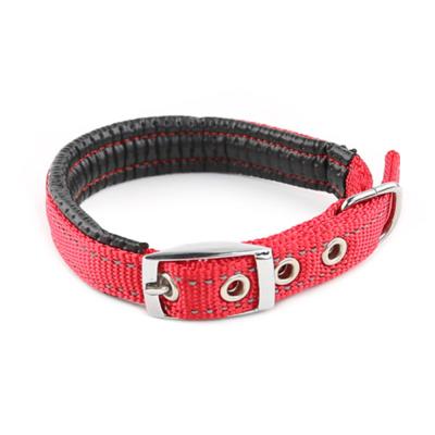 China Durable Nylon Dog Collar Adjustable 15mm-25mm Width 28-50cm Length for Small Medium Large Dogs for sale