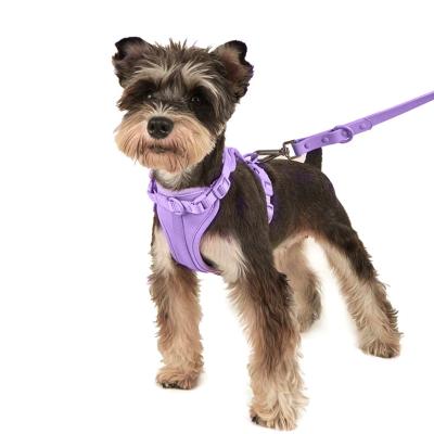 China Waterproof PVC Pet Walking Set - 4-Piece Adjustable Harness, Collar & Leash for Small to Large Dogs (XS-L Sizes) for sale