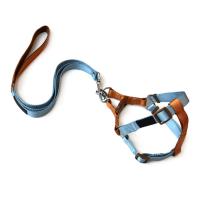 China Adjustable Nylon Pet Harness & Leash Set - 4 Sizes (10mm-25mm) with Quick-Release Buckle for Small to Large Pets for sale