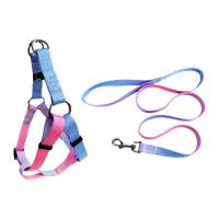China Nylon Pet Dog Chest Harness Leash Set - Adjustable 10-25mm Width, 250-520mm Size Range for Small to Large Dogs for sale