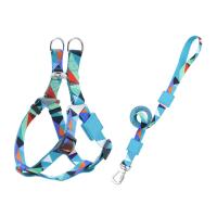 China Durable Nylon Pet Harness and Leash Set with 10-25mm Widths and 60-260g Weight Options for Small to Large Dogs for sale