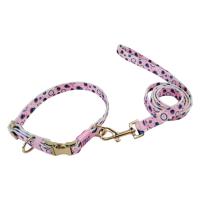China Durable Nylon Pet Collar and Leash Set with 1.5cm-2.5cm Width Options and 120cm Length - Customizable for Small to Large Dogs for sale