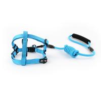 China Adjustable Nylon Pet Harness and Leash Set with Aluminum Fittings - Sizes S/M/L/XL, 100-210g Weight Range for sale