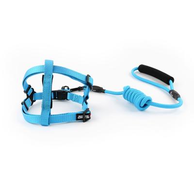 China Adjustable Nylon Pet Harness and Leash Set with Aluminum Fittings - Sizes S/M/L/XL, 100-210g Weight Range for sale