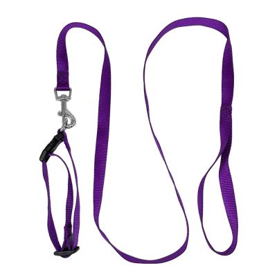 China Durable Nylon Pet Collar Leash Set Comfortable Secure Stylish For Dogs Cats for sale