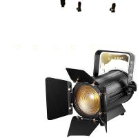 China Redsun 200W COB PAR Light with 50000-hour lifespan DMX512 control and 85 lm/w luminous efficiency for concert stadiums for sale
