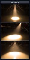 China 300W IP65 Outdoor DMX512 RGBW LED Fresnel Light with Sound-Activated Zoom and E27 Base for sale
