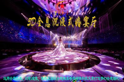 China 5D holographic banquet hall for sale