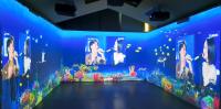 China Immersive Holographic Interaction System with Revolutionary 3D Visualization and Seamless Human-Virtual Integration for sale