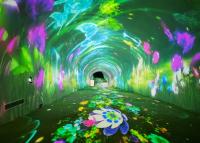 China Holographic Tunnel with 360° Visuals Dynamic Interactive Content and Seamless Integration for Immersive Experiences for sale