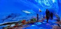 China Holographic Tunnel with 360° Visuals Dynamic Interactive Content and Seamless Integration for Immersive Experiences for sale