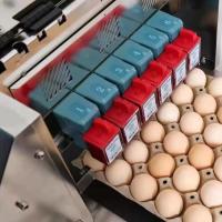 China Six Nozzle Automatic Egg Spray Coding Machine Printing for sale