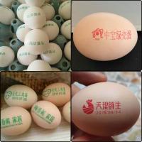 China Six Nozzle Automatic Egg Spray Coding Machine Printing for sale