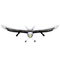 China Simulation Eagle RC Plane 2CH Remote Control Glider 90min Charge 15min Flight for Kids Adults for sale