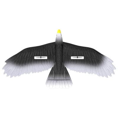 China 3 Channel RC Glider Eagle Plane Toy EPP Model 2.4G Remote Control 3.7V 300mAh Battery Ready to Fly for sale