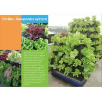 China Commercial Aeroponics Hydroponic System For Greenhouse Vegetables Growing for sale