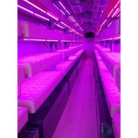 China Container Farm Hydroponic Growing System Multi-Span Agricultural Greenhouses for sale