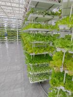 China Vertical Farming Hanging Plant Hydroponic Intelligence Farming for sale