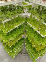 China Vertical Farming Hanging Plant Hydroponic Intelligence Farming for sale