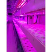 China Freezer Shipping Container Farm Hydroponic Green Efficient Growth Plant Container for sale