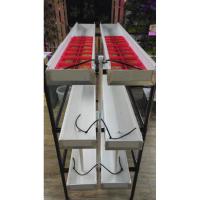 China Growing Sprouts Hydroponics Fodder System 4000*1600*2400mm For Farms for sale