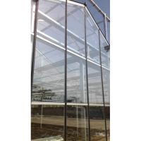 China High Strength Agricultural Poly Tunnel Green House/Tomato Greenhouse for sale