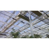 China High Strength Agricultural Poly Tunnel Green House/Tomato Greenhouse for sale