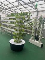 China 7P7 Hydroponic Growing Towers Vertical Garden Hydroponic System for sale