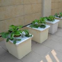 China Dutch Bucket Hydroponics For Greenhouse Crop Growing Agricultural for sale