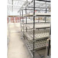 China Greenhouse Agriculture Iot Vertical Factory For Modern Agriculture for sale