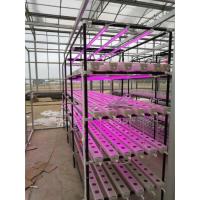 China Greenhouse Agriculture Iot Vertical Factory For Modern Agriculture for sale