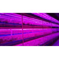 China Greenhouse Agriculture Iot Vertical Factory For Modern Agriculture for sale