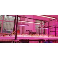 China Vertical Farming Plant NFT Hydroponic Smart Garden White 110V/220VAC for sale
