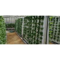 China Indoor Hydroponic Growing Systems Home Zip Vertical Hydroponic System for sale