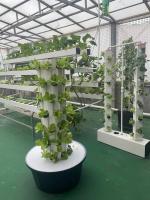China Balcony Aeroponic Growing Towers Hydroponics Vertical Garden Systems Hydroponic Systems indoor Pineapple Planting Type  Vertical for sale