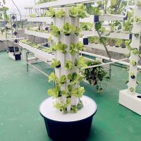 China Indoor Outdoor Hydroponic Pineapple Tower Grow Systems Garden Agricultural Soilless Culture Vertical Hydroponic Grow Tower for sale