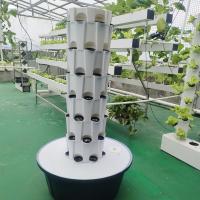 China Indoor Outdoor Hydroponic Pineapple Tower Grow Systems Garden Agricultural Soilless Culture Vertical Hydroponic Grow Tower for sale