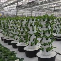 China Home Garden vertical Grow Kit tower garden aeroponics system DIY Aeroponic Hydroponics Growing Systems for sale