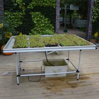 China Custom Tables Grow Table Greenhouse Growing Tables Ebb And Flow Tray for sale