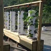 China Home Fully Automatic Small Hydroponics Garden Growing Plant System Vertical at Home for Commercial for sale