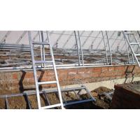 China Mushroom Equipment Greenhouse For Vegetable Agriculture With Steel Frame for sale