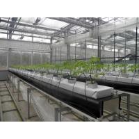 China Strawberry Planting Tank Three-Dimensional Cultivation Rack Food Grade for sale