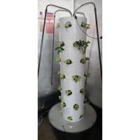 China Hydroponic Cultivation System For Vegetables And Strawberries With LED Light for sale