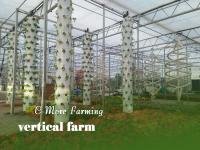 China Hydroponic Cultivation System For Vegetables And Strawberries With LED Light for sale